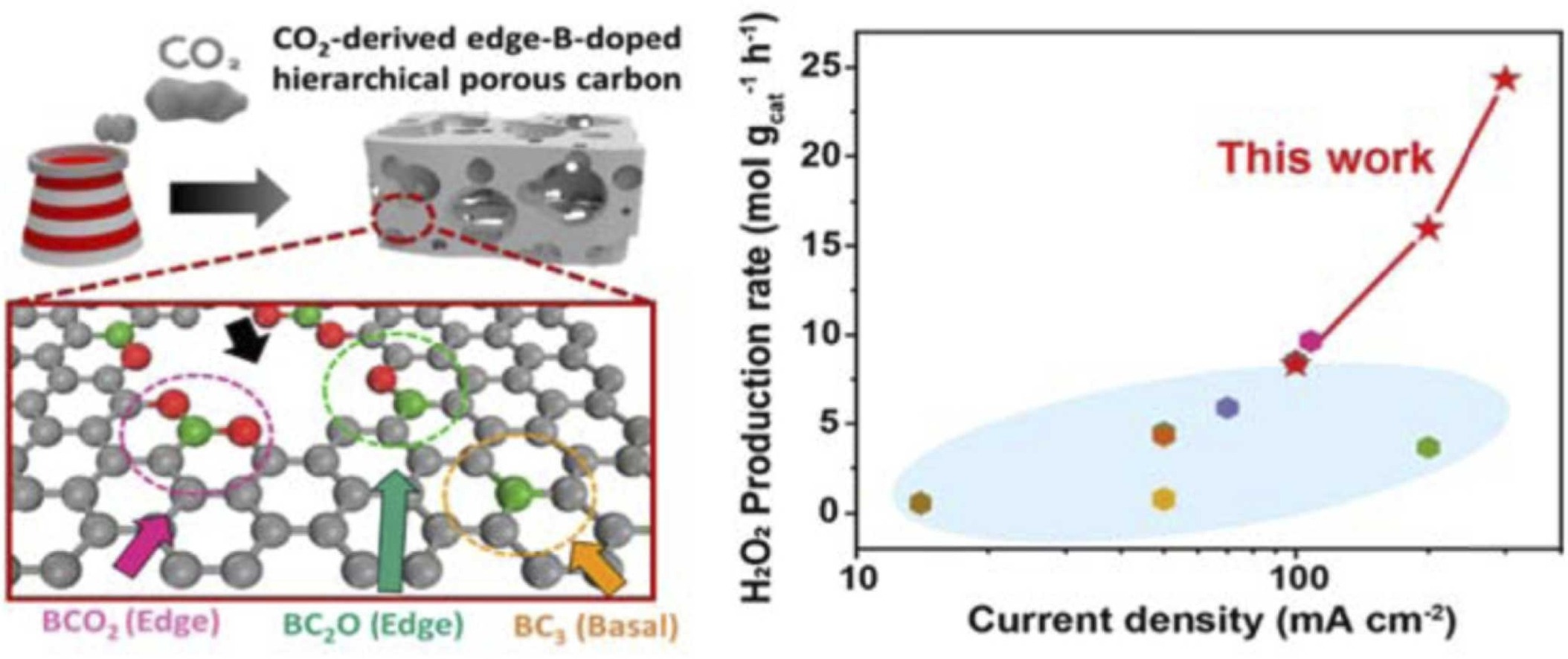 CO2-derived edge-boron-doped hierarchical porous carbon catalysts for ...